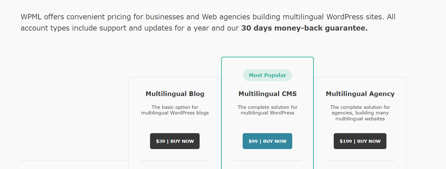 Text United VS WPML WordPress Translation Plugin - WP Glob