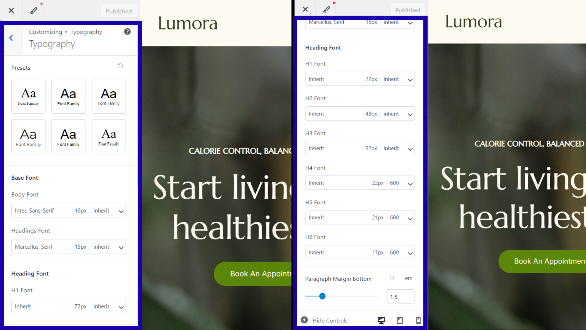How to Install and Customize ASTRA WordPress Theme - WP Glob